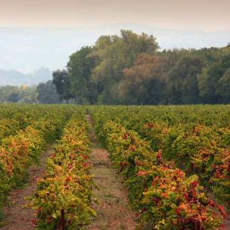 Lyeth Estate Meritage Sonoma County 2012 – Gus Clemens on Wine