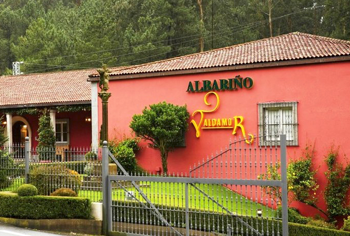 Bodegas Valdamor Namorio Albariño Rias Baixas 2014 – Gus Clemens on Wine