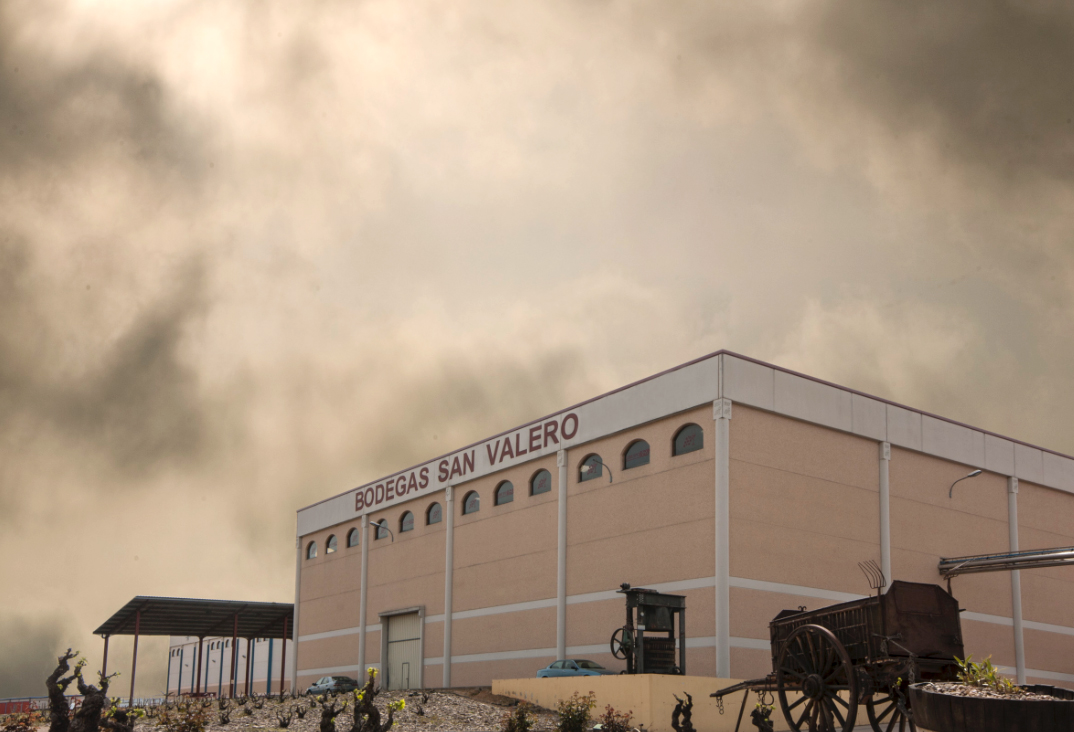 Bodegas San Valero Particular Old Vine Garnacha 2012 – Gus Clemens on Wine