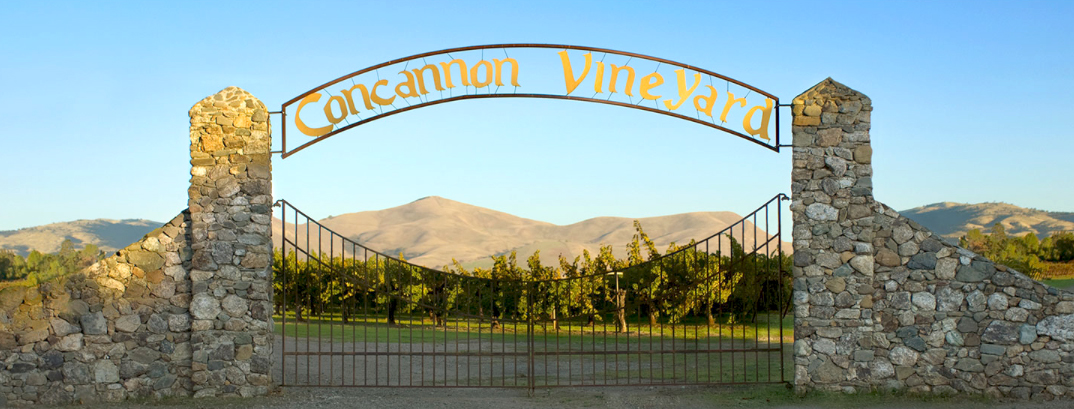 Concannon Vineyard Petite Sirah San Francisco Bay 2014 – Gus Clemens on ...