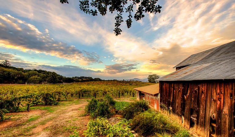 Adobe Road Shift Red Wine 2019 – Gus Clemens on Wine