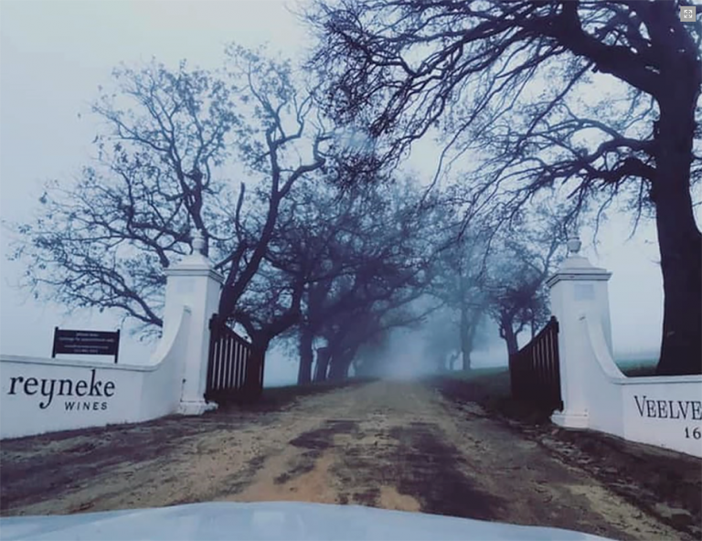 Reyneke Vinehugger Organic Red Western Cape 2018 – Gus Clemens on Wine