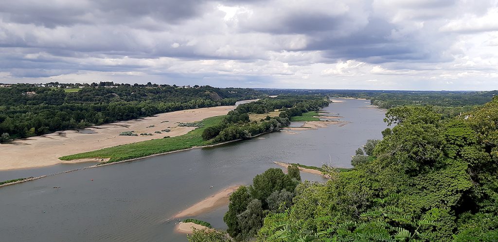 Frères Couillaud Bernier Sauvignon Blanc Val de Loire IGP 2018 – Gus ...