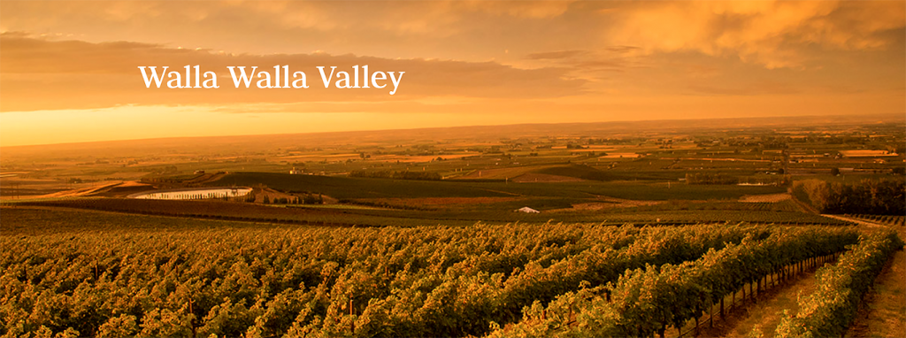 L’Ecole No. 41 Walla Walla Valley Syrah Estate Seven Hills Vineyard 2018 – Gus Clemens on Wine