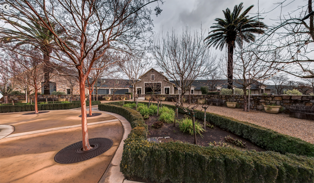 Trinchero Napa Valley Mary’s Single Vineyard Sauvignon Blanc 2019 – Gus ...