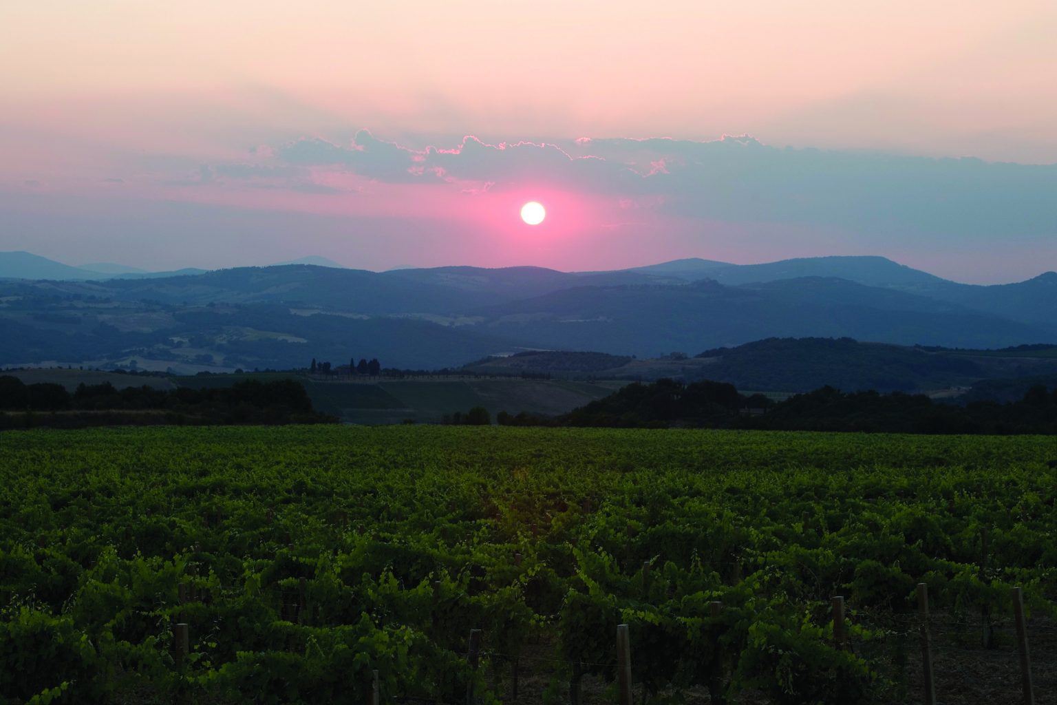 Castello Banfi Toscana Magna Cum Laude Red Wine IGT 2016 – Gus Clemens ...