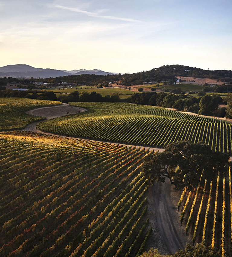 Faust Napa Valley Cabernet Sauvignon 2018 – Gus Clemens on Wine