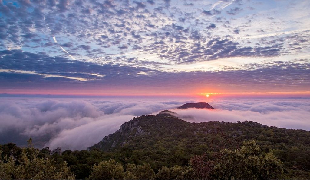 Château de L’escarelle Propriétaire Récoltant Vin de Provence 2021 ...