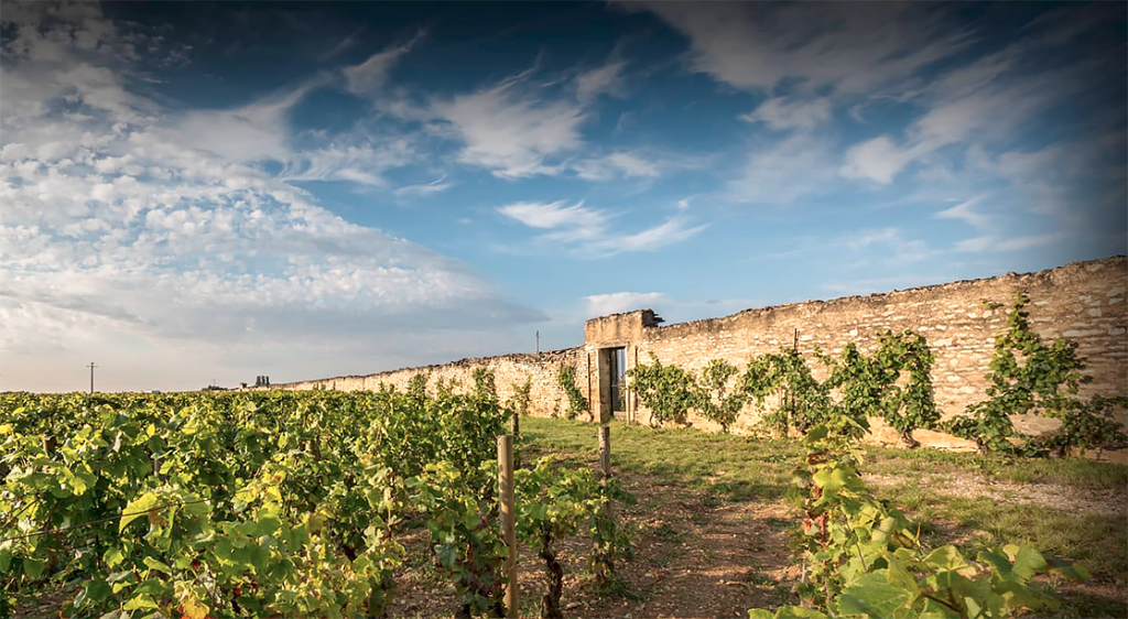 Albert Bichot Horizon de Bichot Chardonnay 2020 – Gus Clemens on Wine