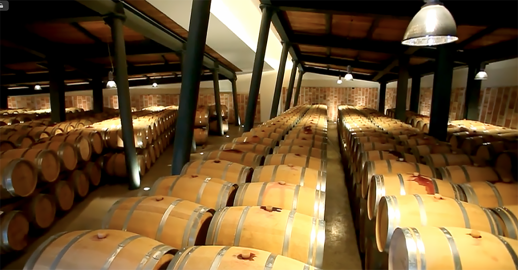 Umani Ronchi Podere Montepulciano d’Abruzzo DOC 2021 – Gus Clemens on Wine